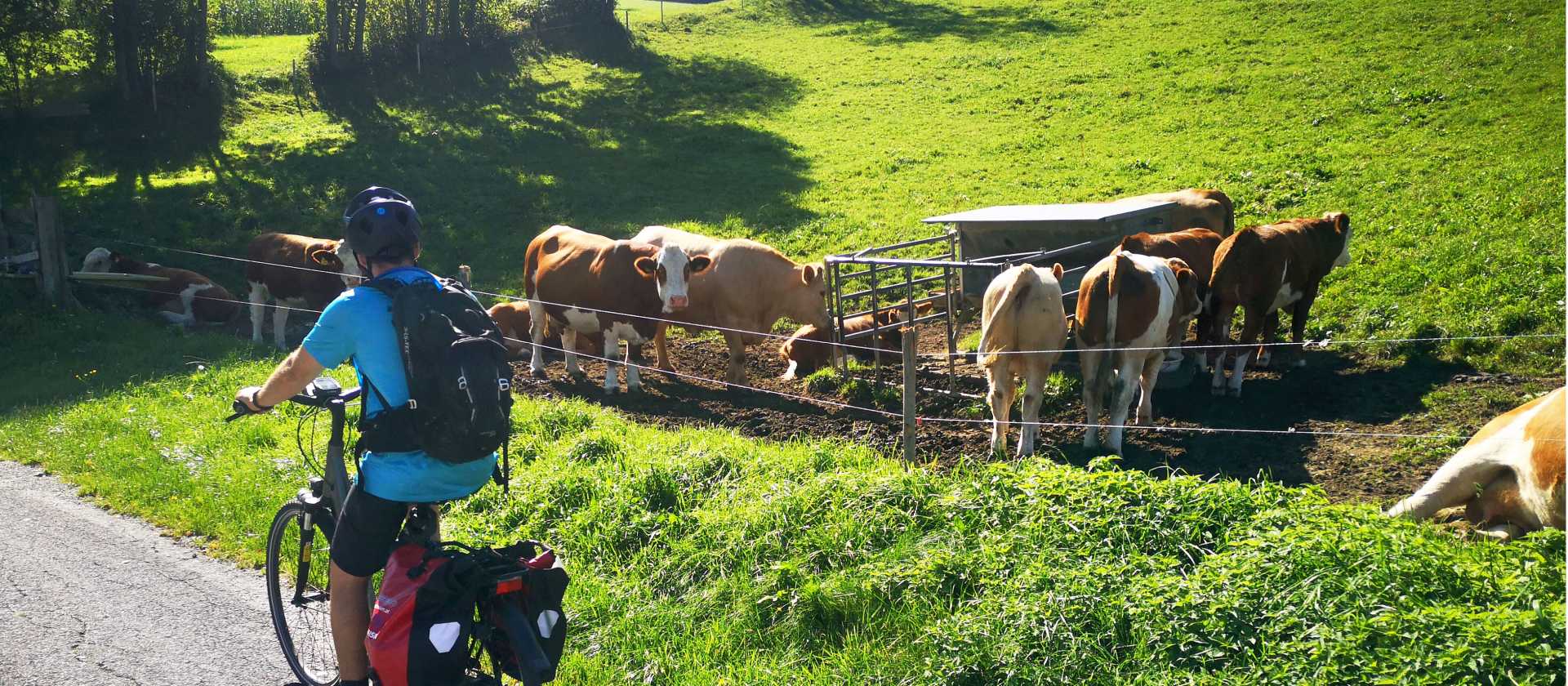 Vienna to Trieste by E-Bike