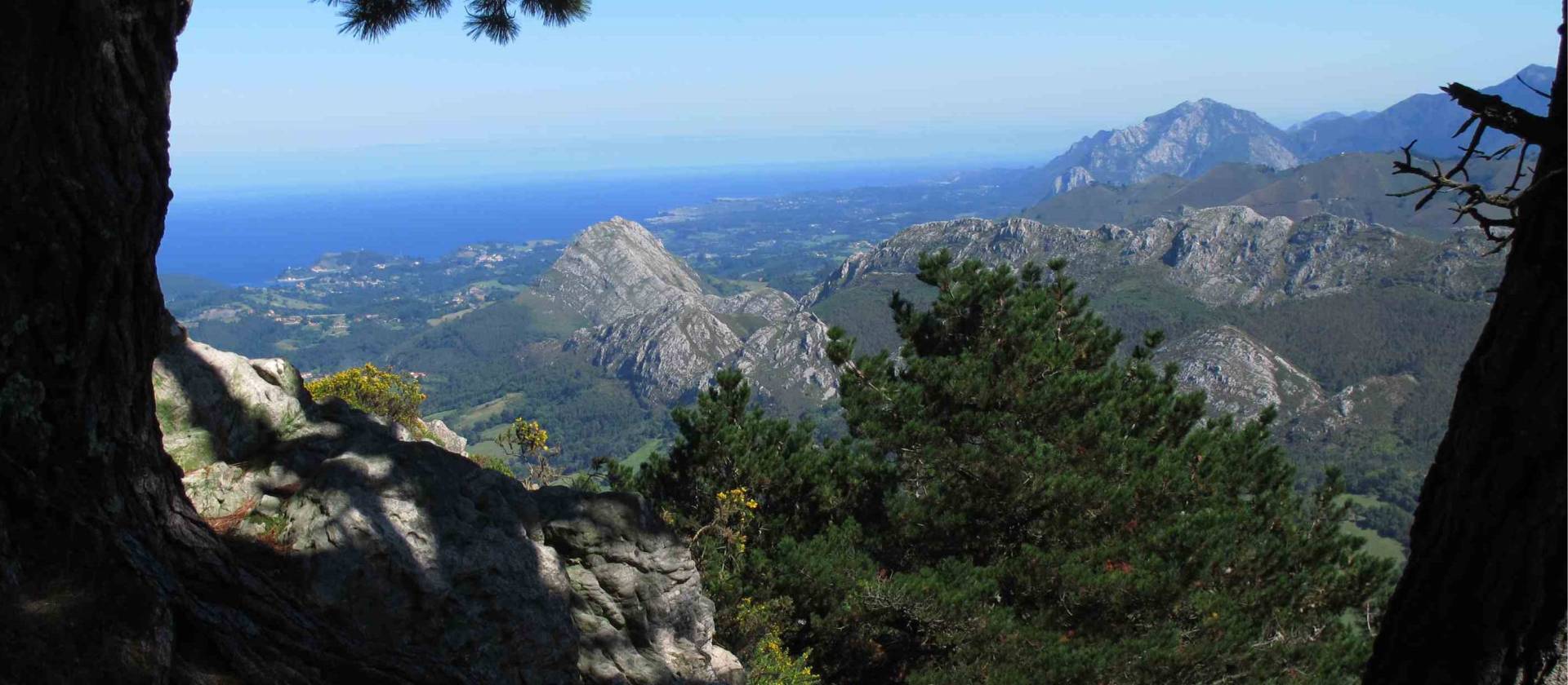 Food Lover's Spanish Camino Tour | Camino De Santiago