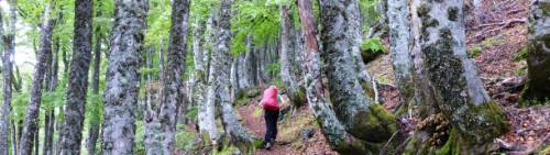 GR Route Walking Tours Europe | GR Trail Hikes | UTracks