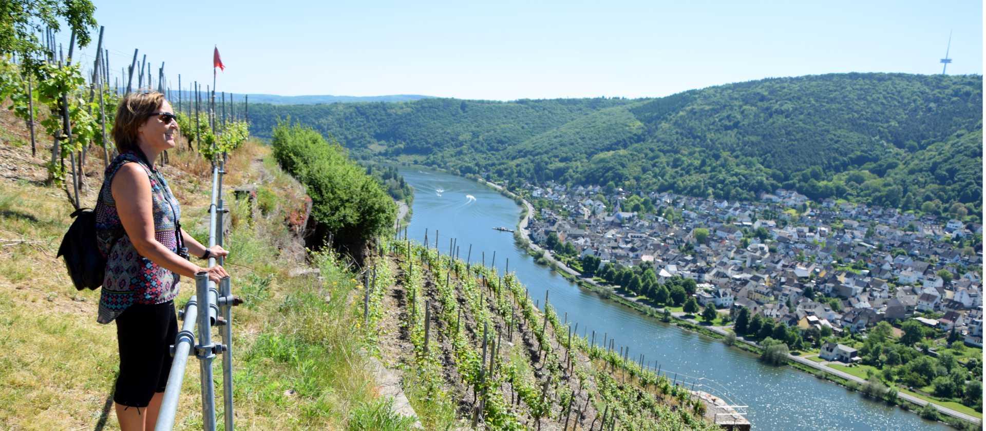 Rhine River and Castles Walk Highlights
