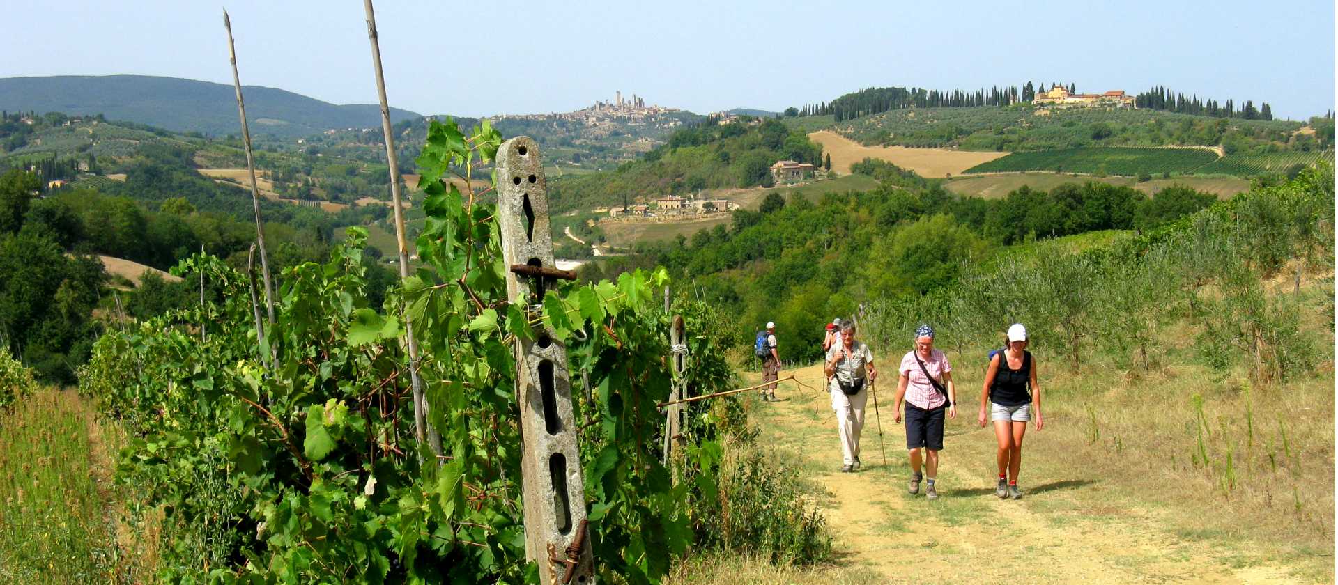Via Francigena: Lucca To Siena Walking Tour | Italian Camino