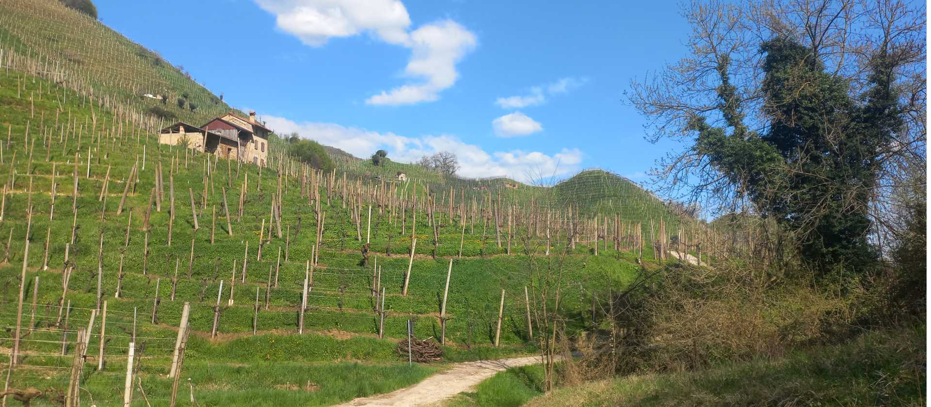 Prosecco Trail