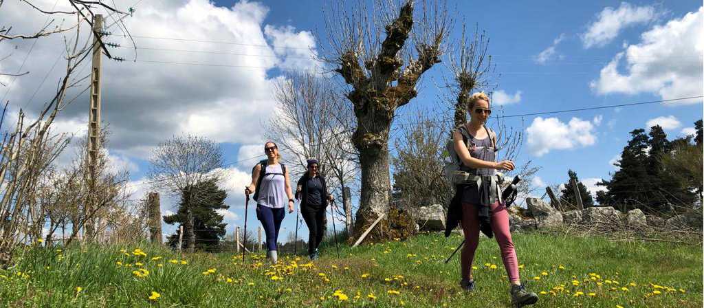 Via Francigena: Lucca To Siena Walking Tour | Italian Camino