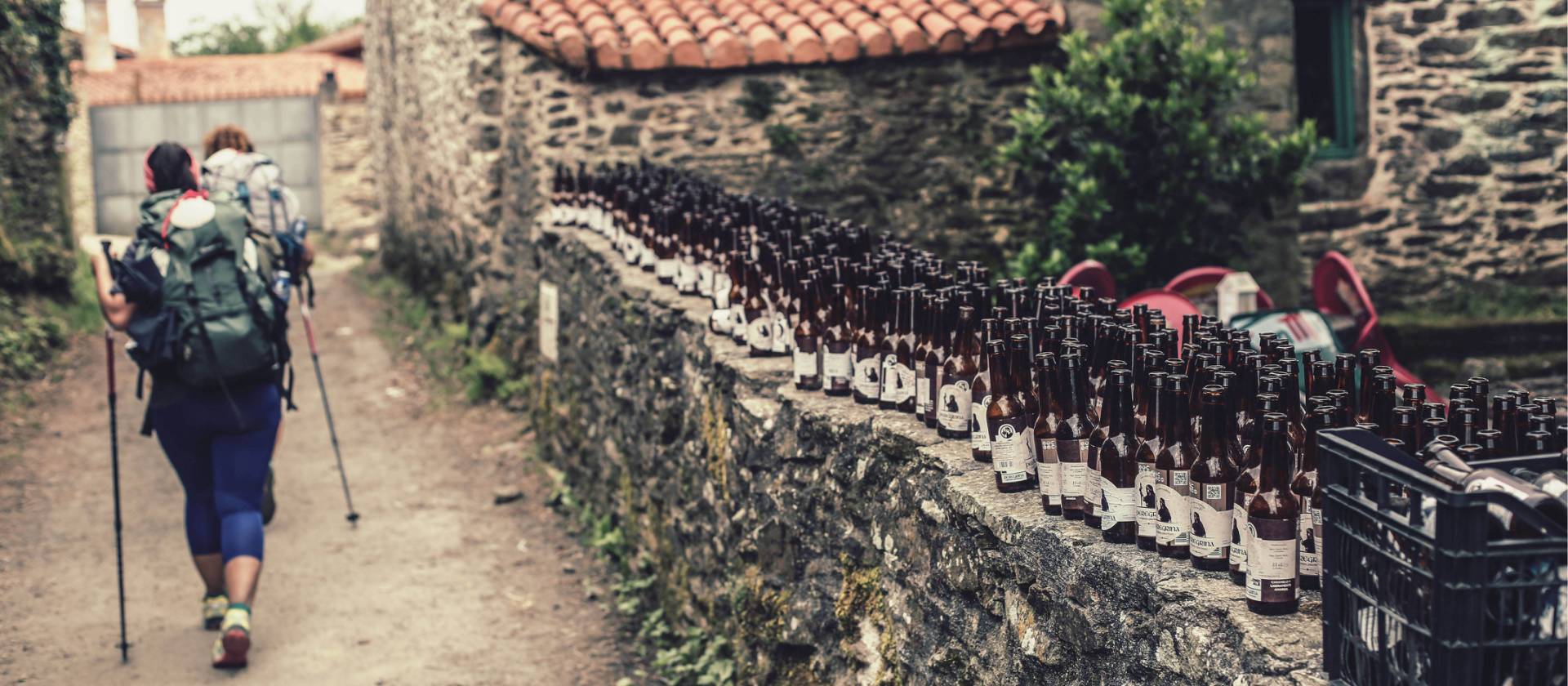 Food Lover's Spanish Camino Tour | Camino De Santiago