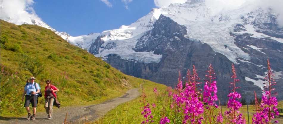 Via Alpina Supported Hiking | Alpine Pass Route Walking Holiday | Swiss ...