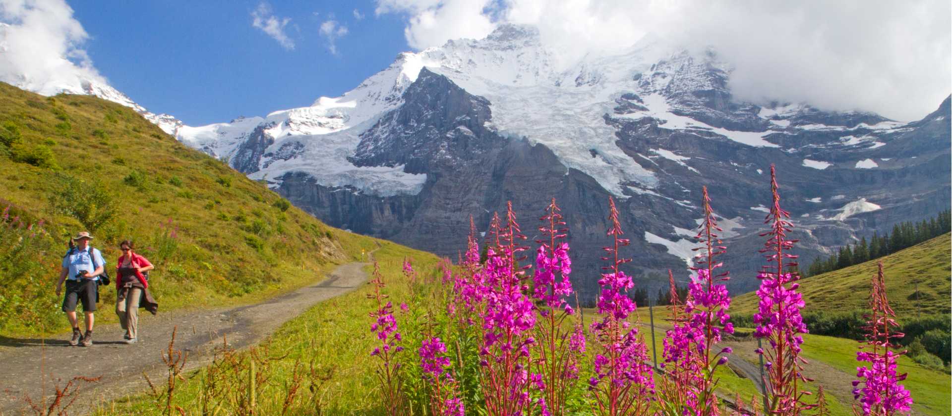 Alpine Pass Route Self Guided Walking Holiday | Via Alpina Highlights ...