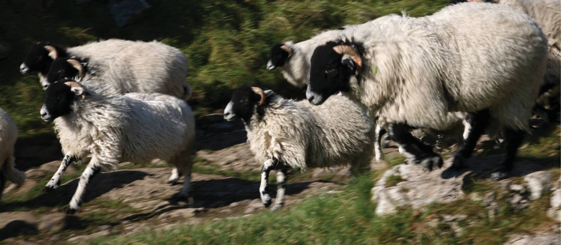 The Dales Way Walking Holiday, Hiking tour Lakes District England