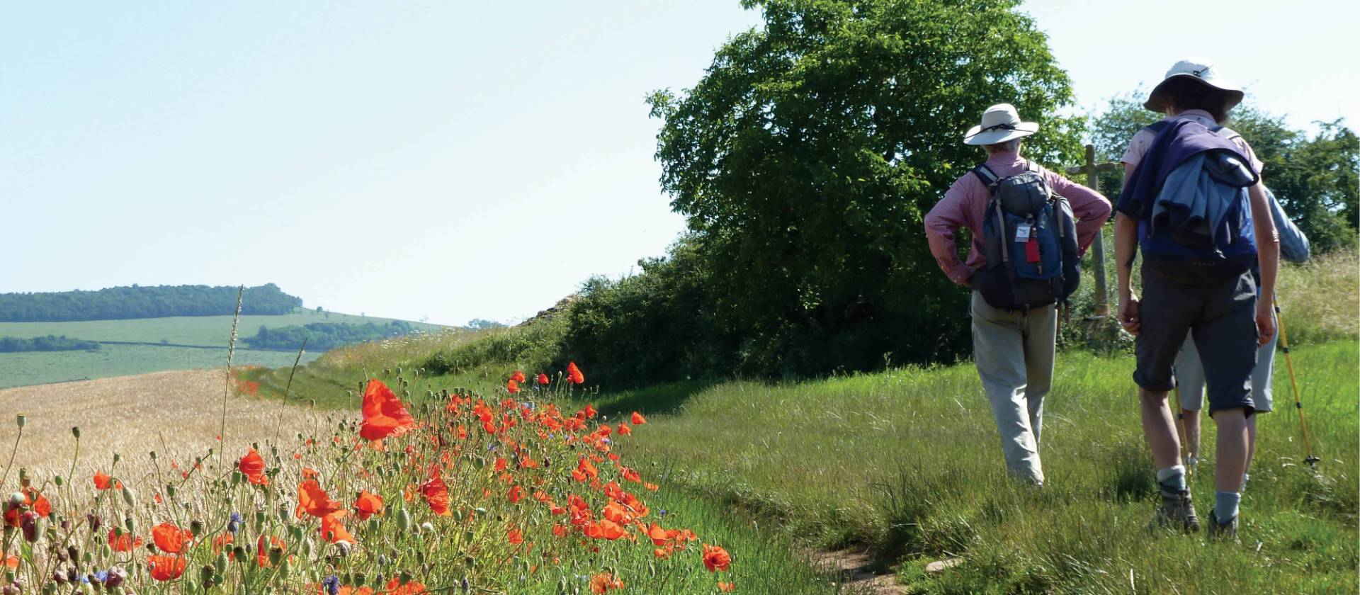 Burgundy Vineyard Trails Self Guided Walking Tour, HIking France