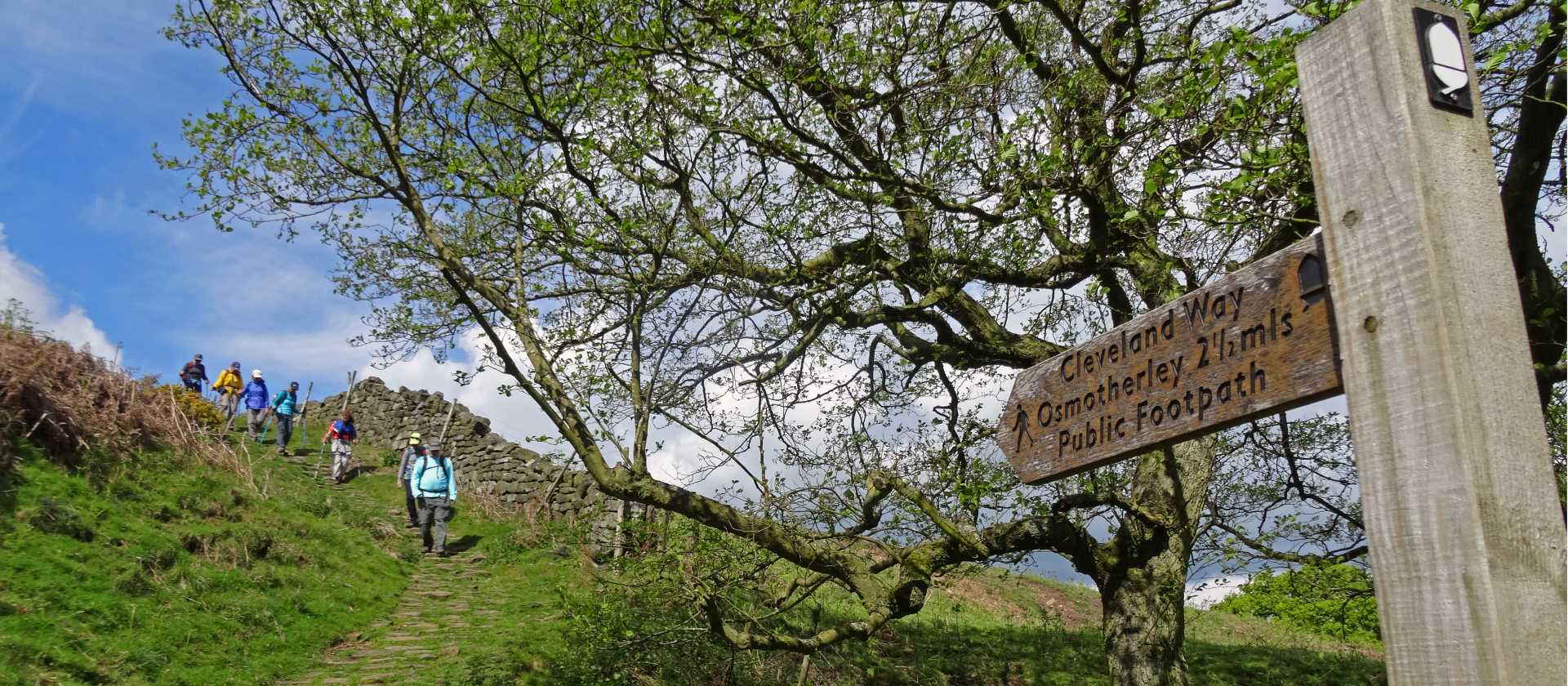 The Cleveland Way Walking Holiday North Yorkshire Trails England