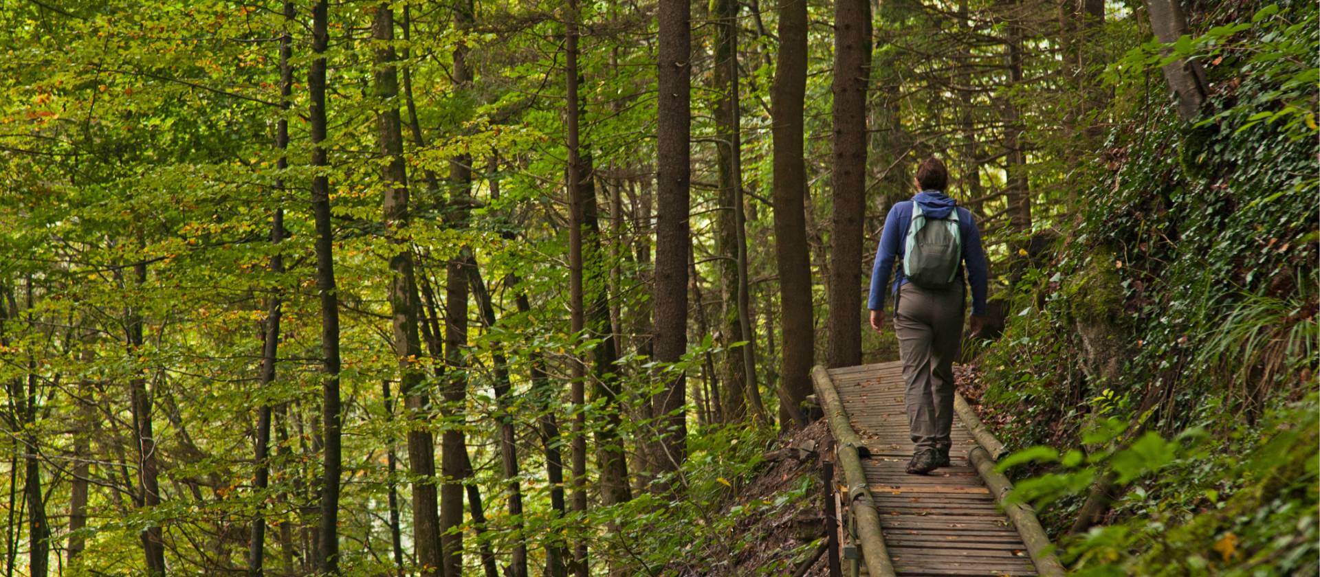 Supported Bavaria Walking Holiday | King Ludwig's Way | Self Guided ...