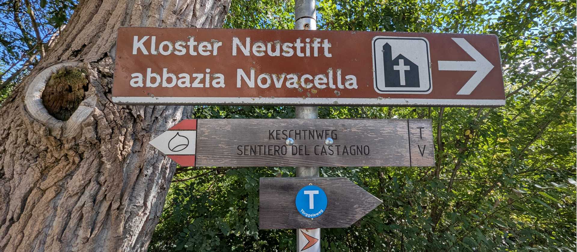 Walking in South Tyrol | Self Guided Hiking Holiday | Italian Alps ...