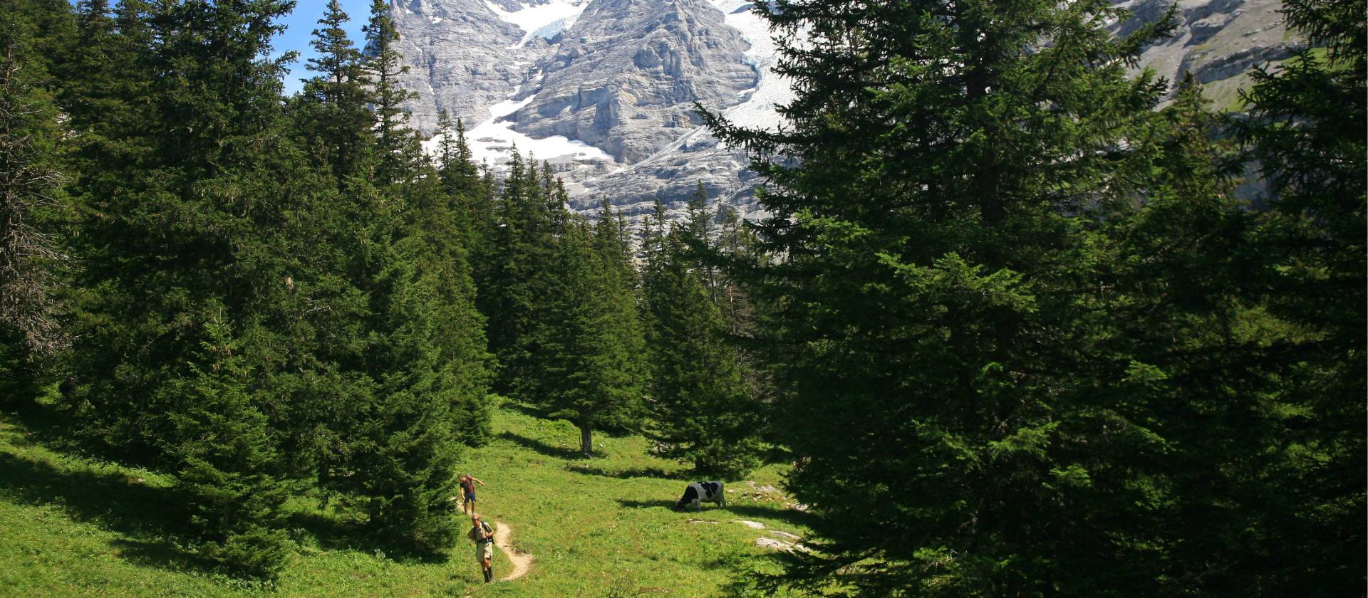 Alpine Pass Route Self Guided Walking Holiday | Via Alpina Highlights ...